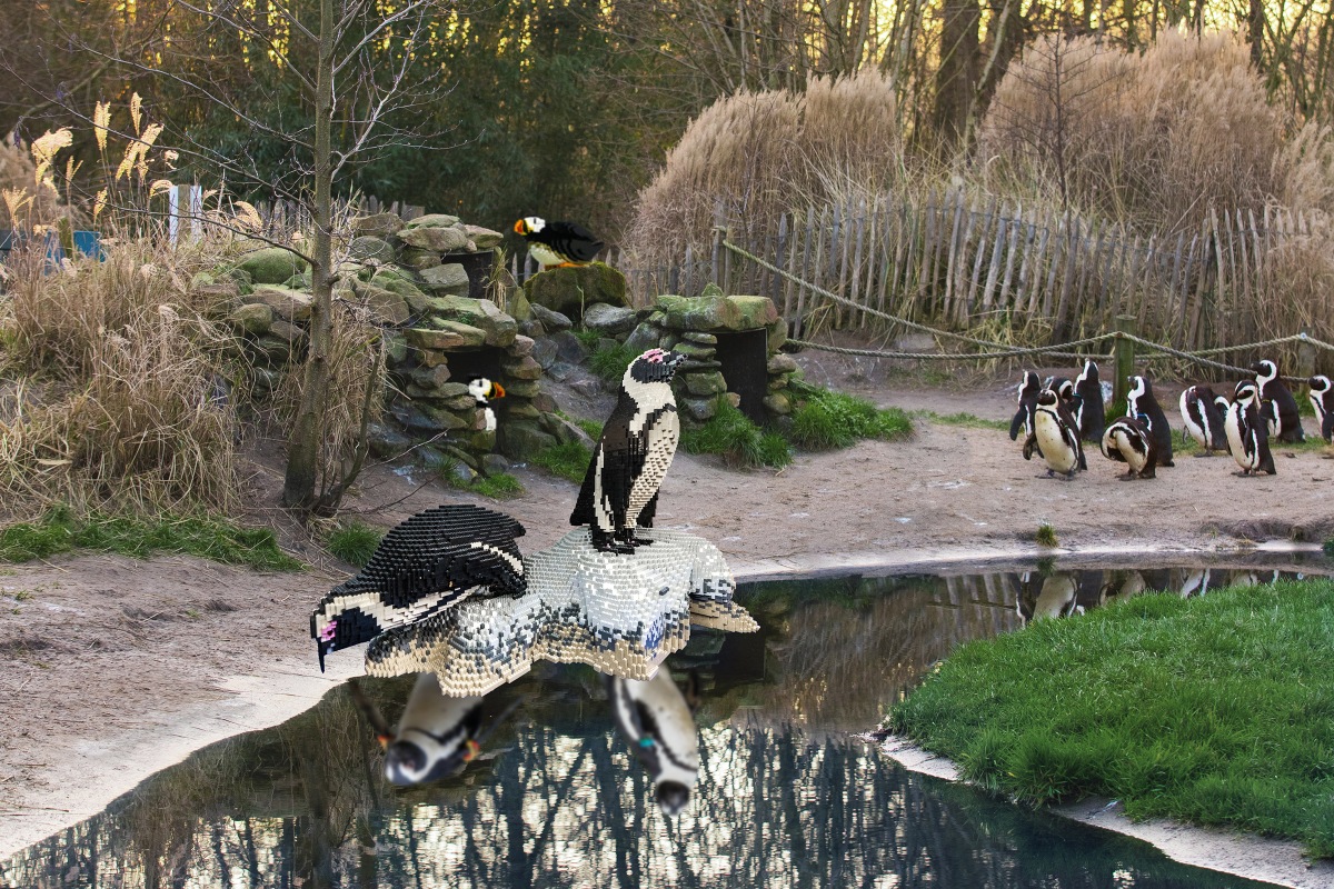 AquaZoo viert twintigste verjaardag met tijdelijke expositie: Ocean ...